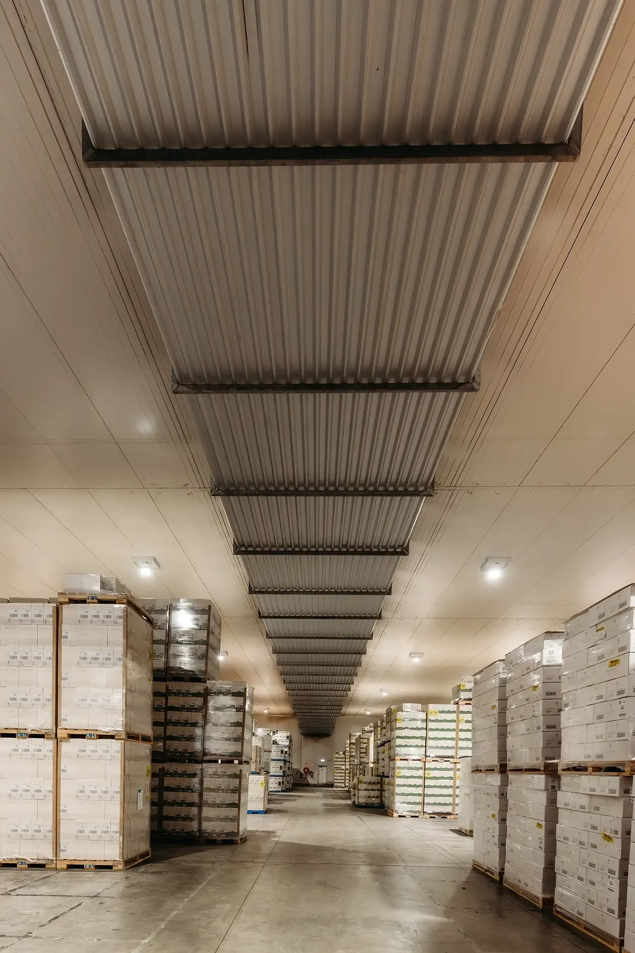 Frozen, Chilled, Ambient and Controlled Temperature Storage