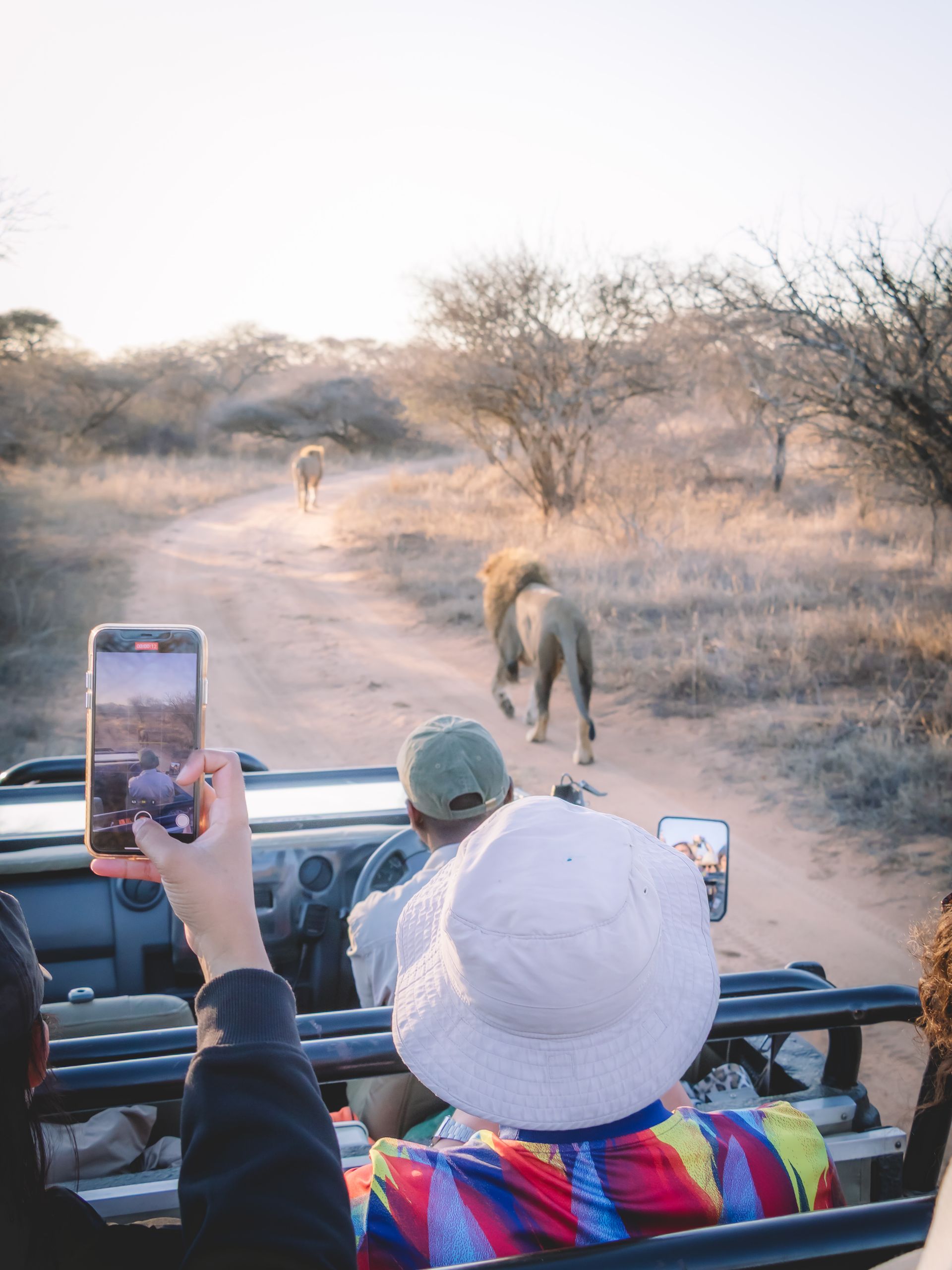 Guided Tours | Sable Tours