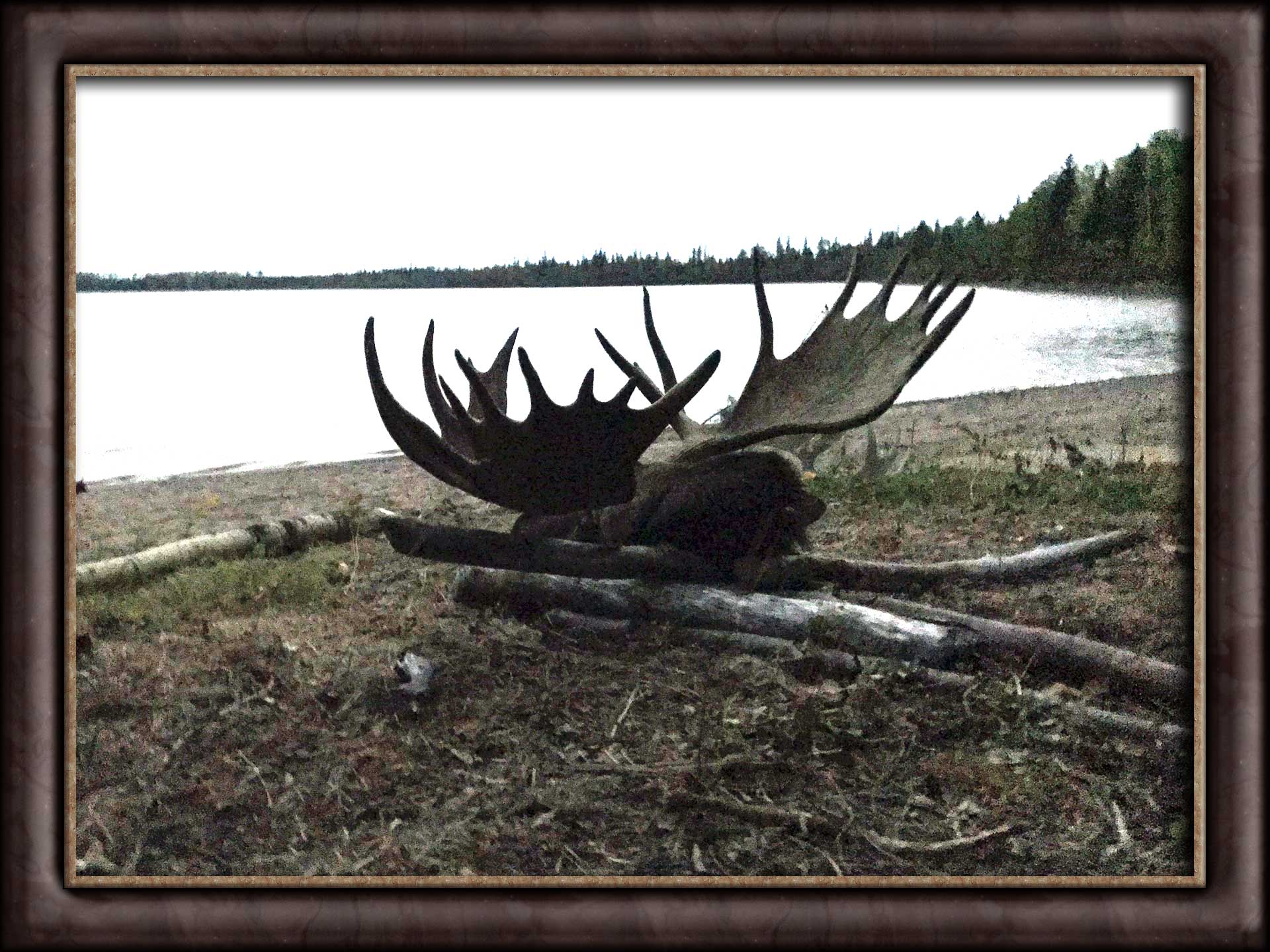 Nakina, Ontario Canada Moose Hunt, Canada Moose Hunting, Guide