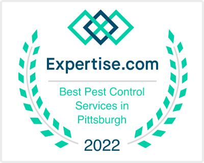 Exterminator | Pittsburgh, PA | Pearce Pest Control
