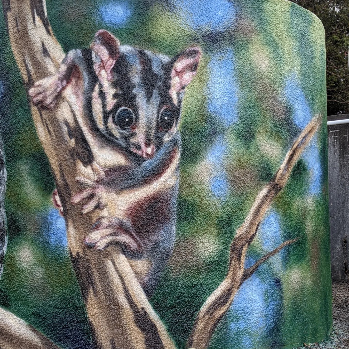 Toolangi Water Tank Art