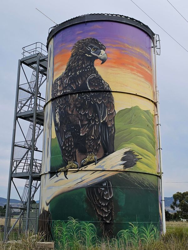 Avoca Water Tank Art