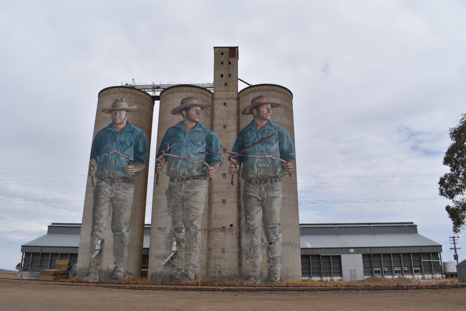 Barraba Silo Art