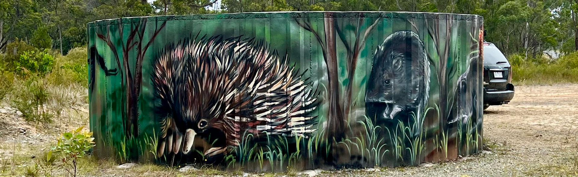 Cape Conran Water Tank Art