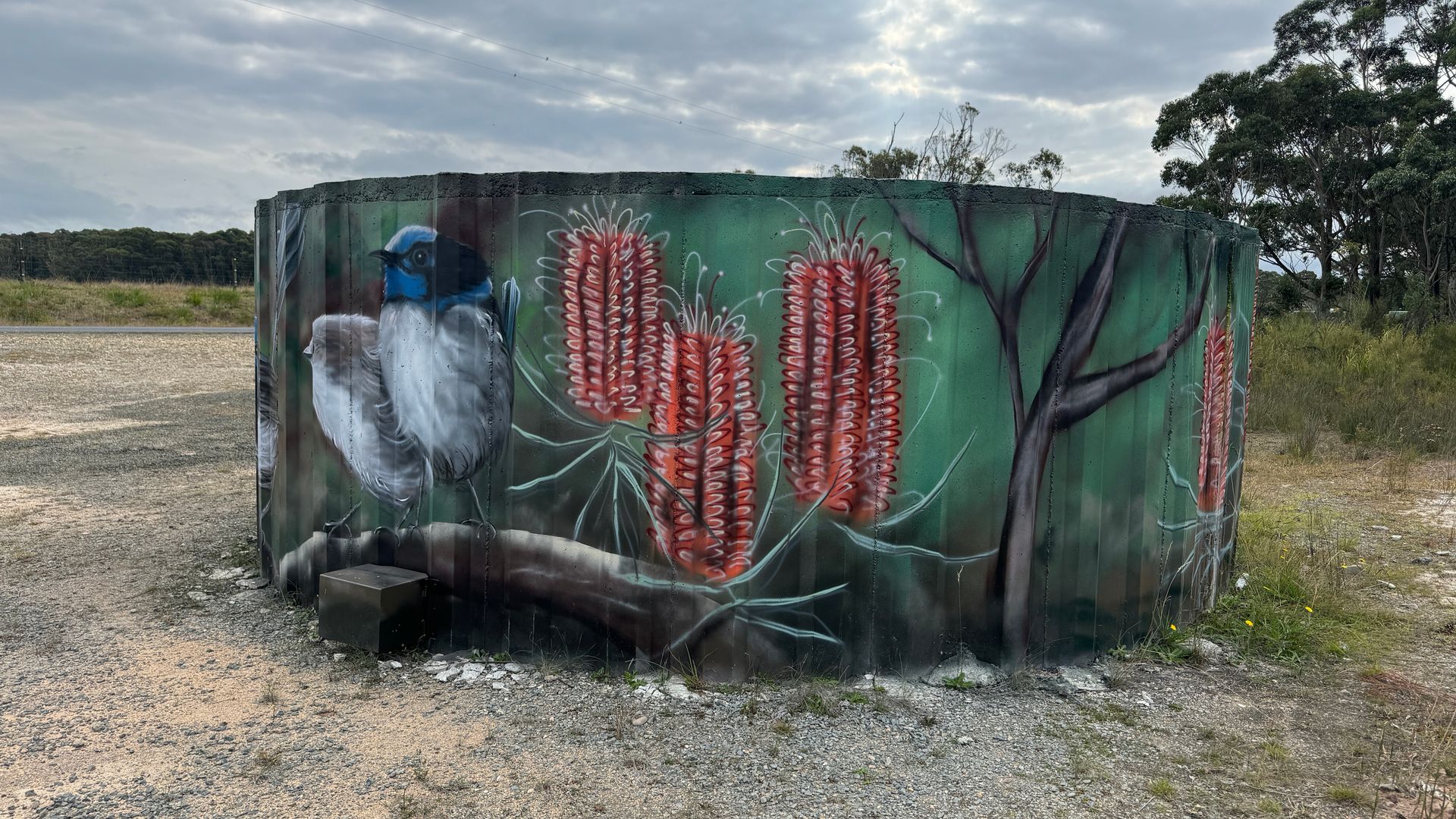 Cape Conran Water Tank Art