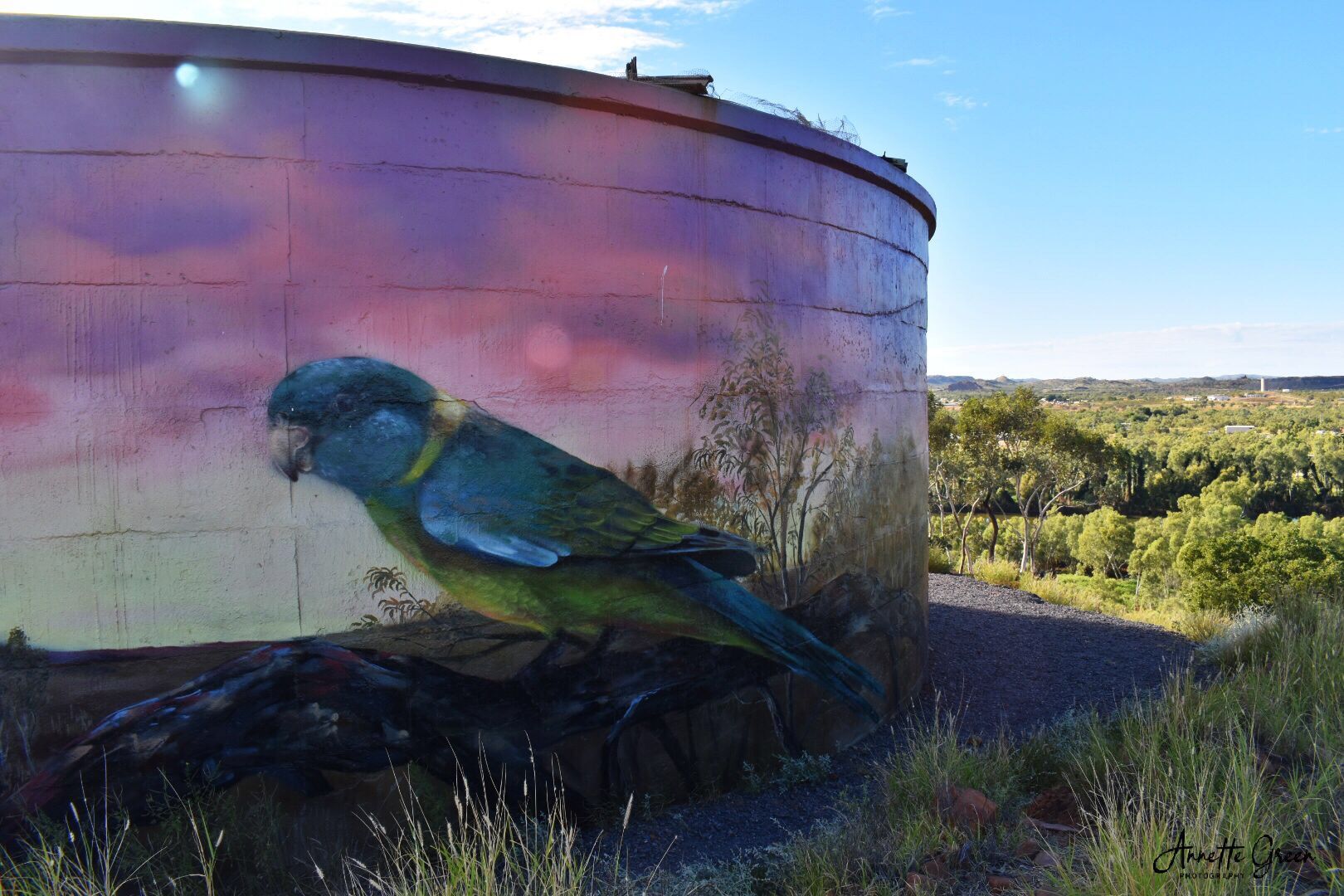 Cloncurry Water Tank Art