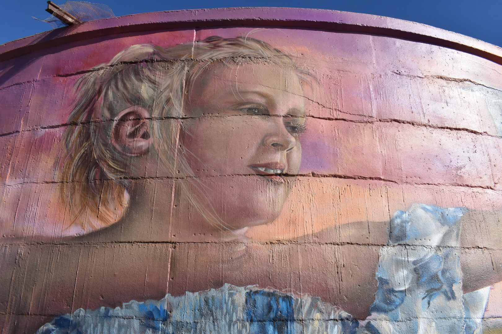 Cloncurry Water Tank Art