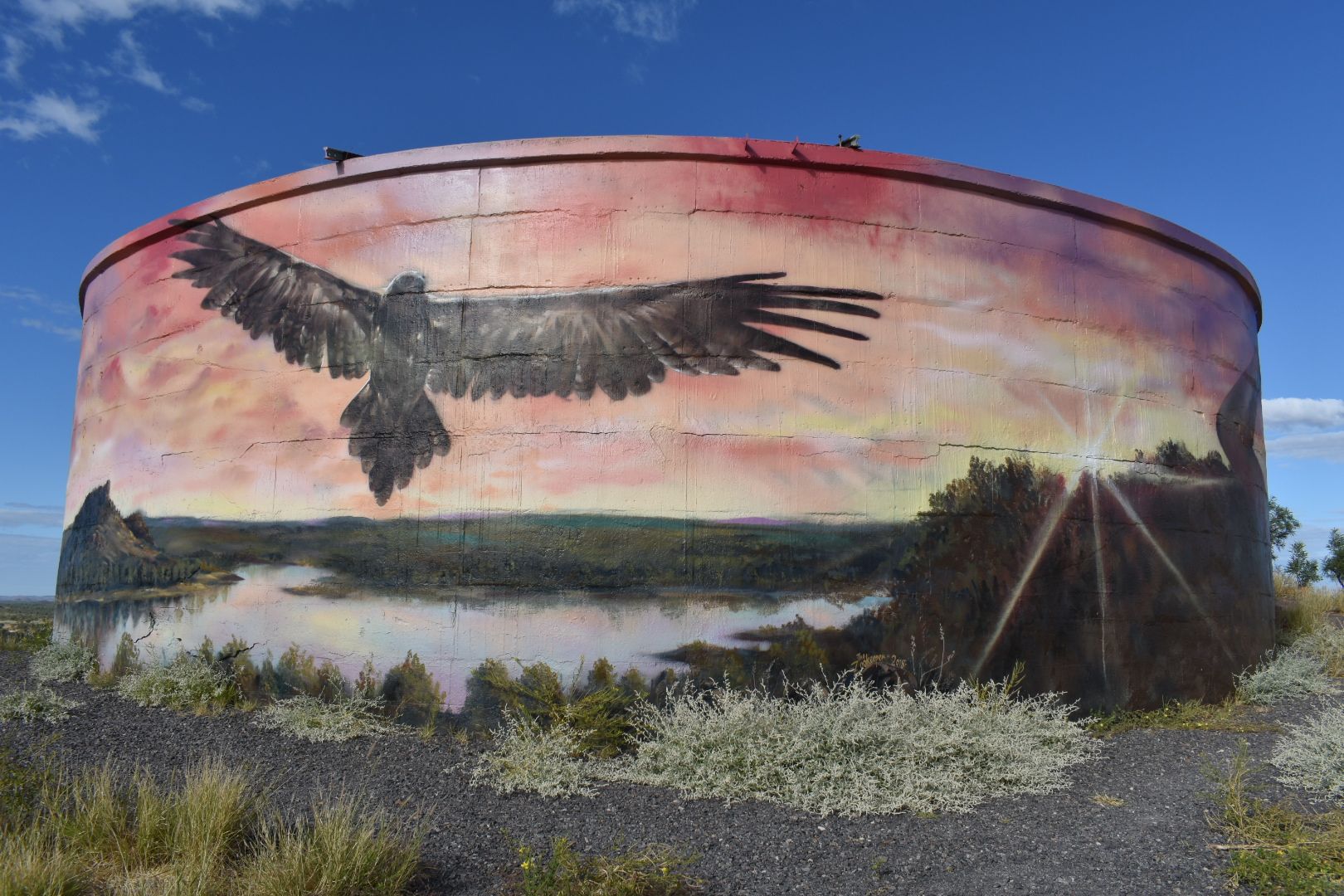 Cloncurry Water Tank Art