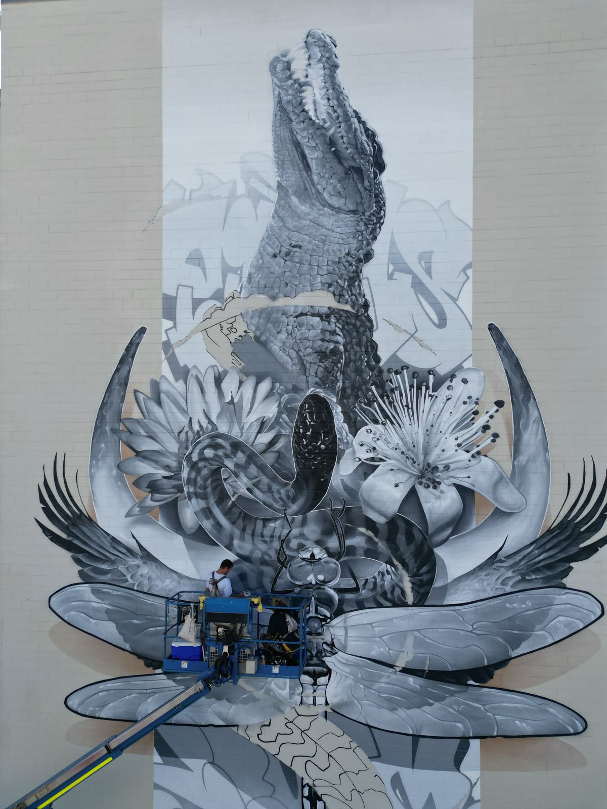 Andrew J Bourke - Artist