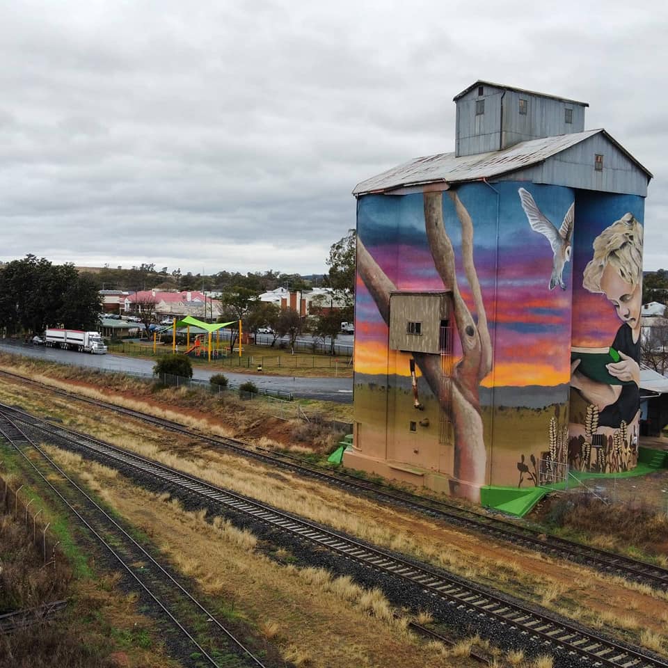 Dunedoo Silo Art