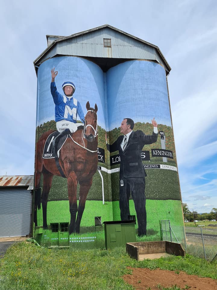 Dunedoo Silo Art
