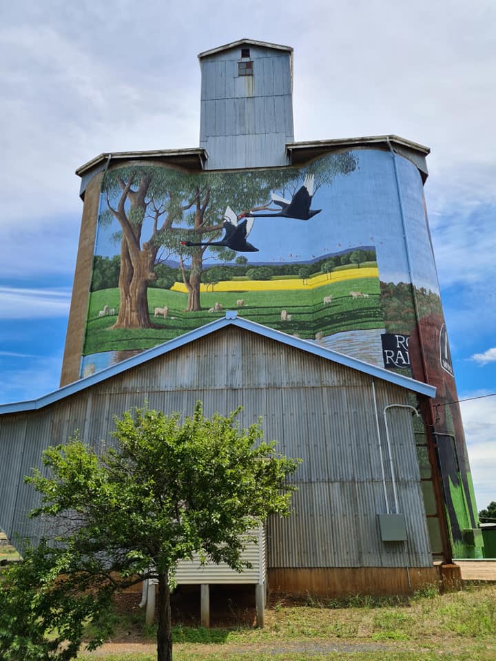 Dunedoo Silo Art