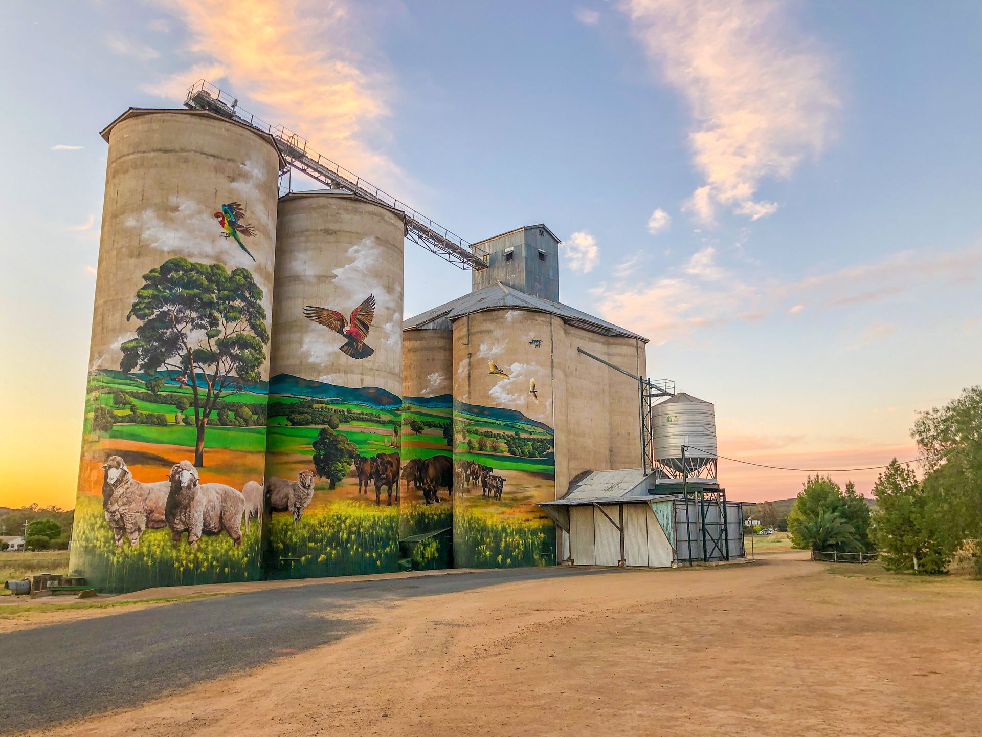 Australian Water Tower Art