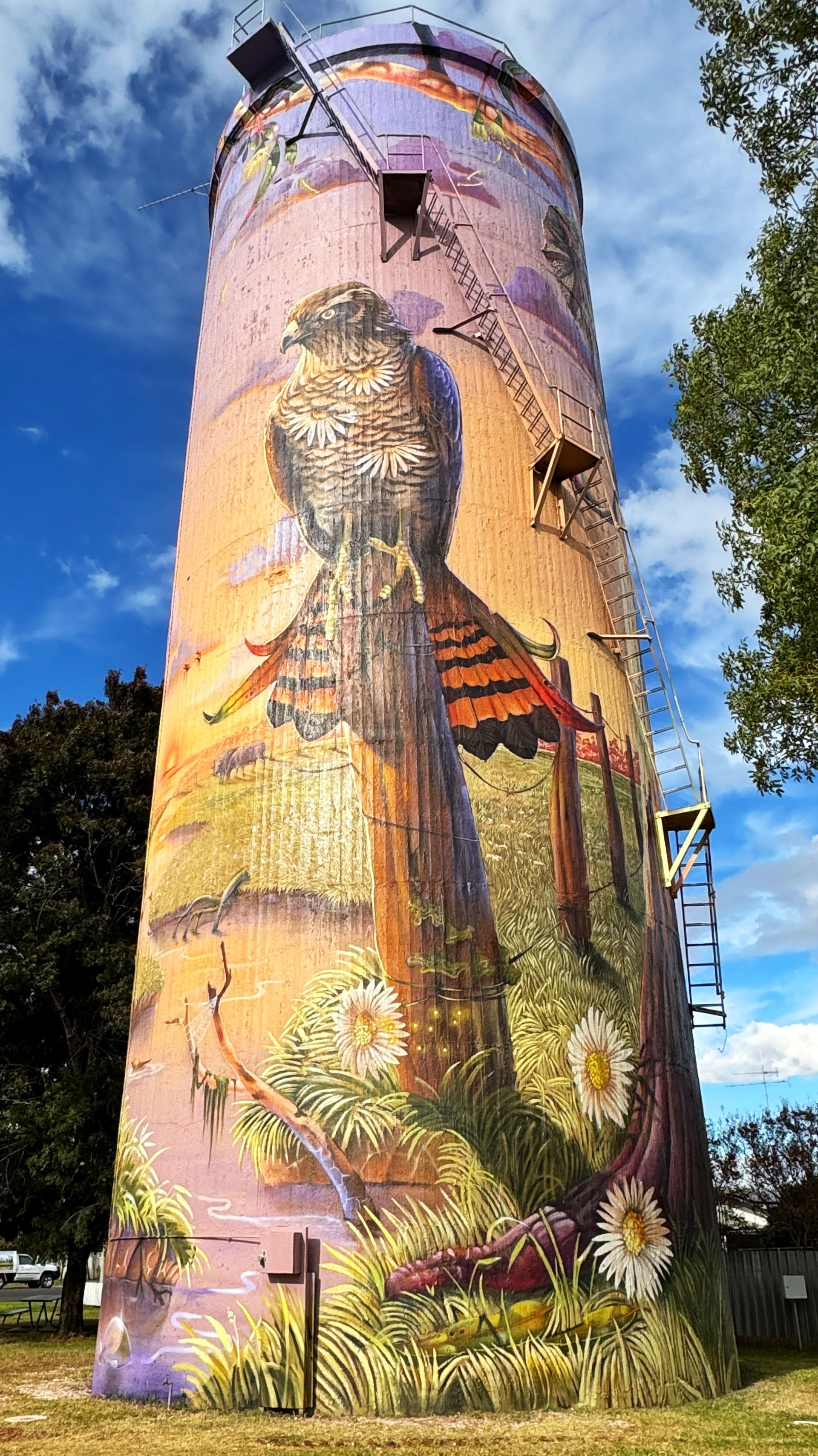 Hillston, Water Tower Art