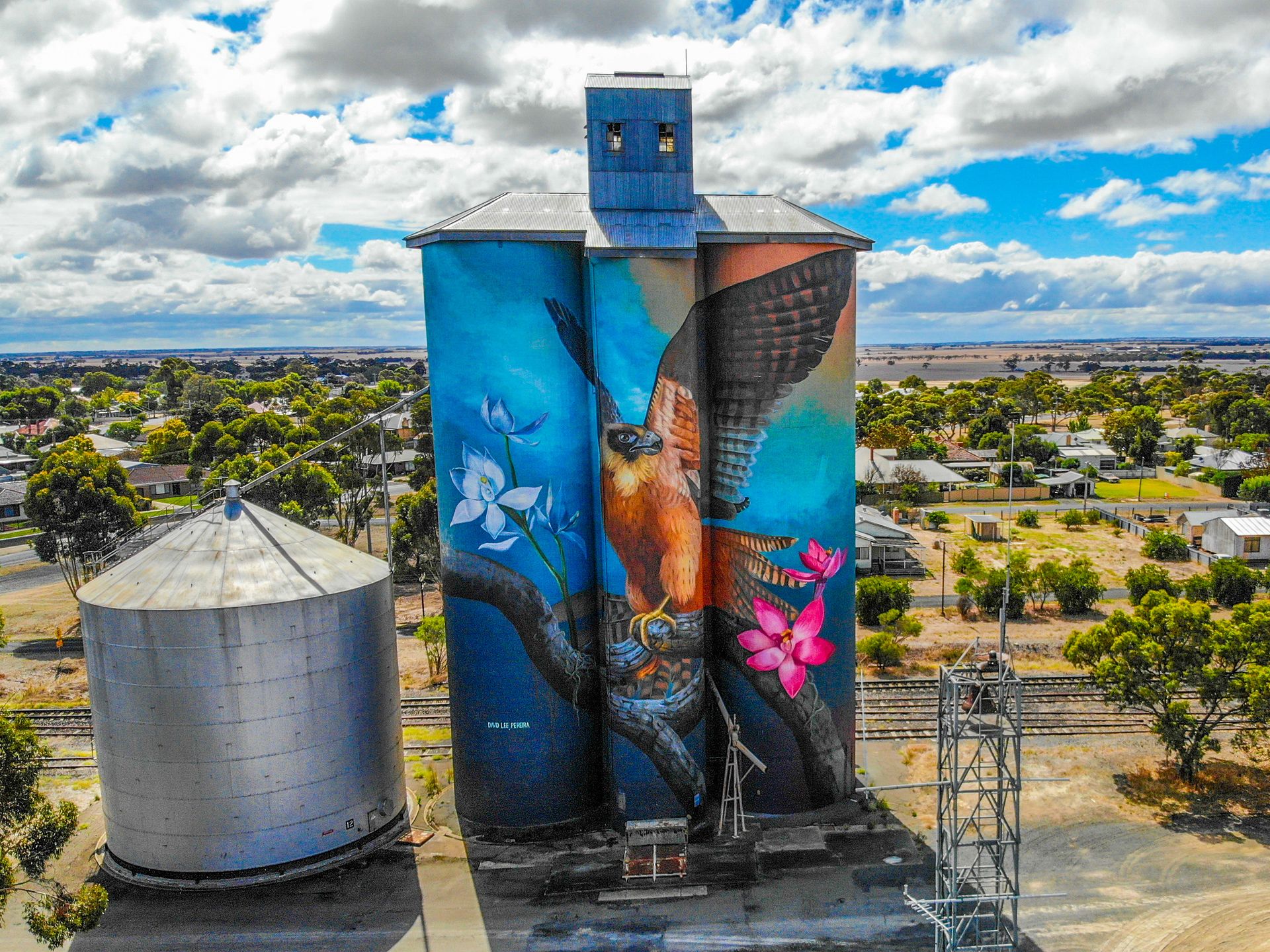 Australian Silo Art Trail Gallery of Photos