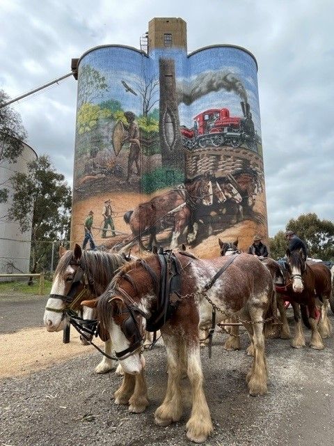 Katamatite Silo Art