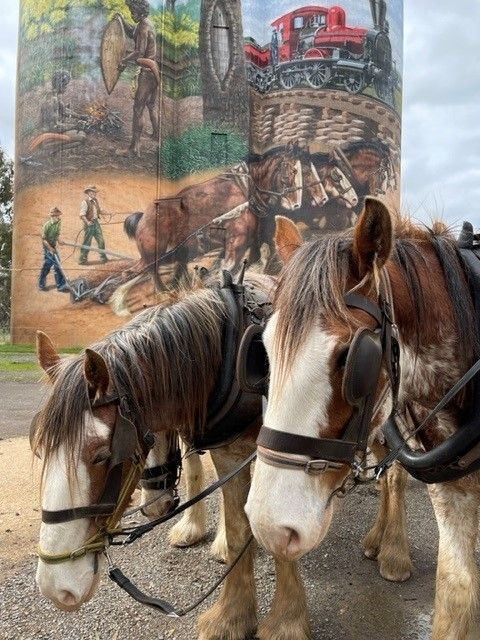 Katamatite Silo Art