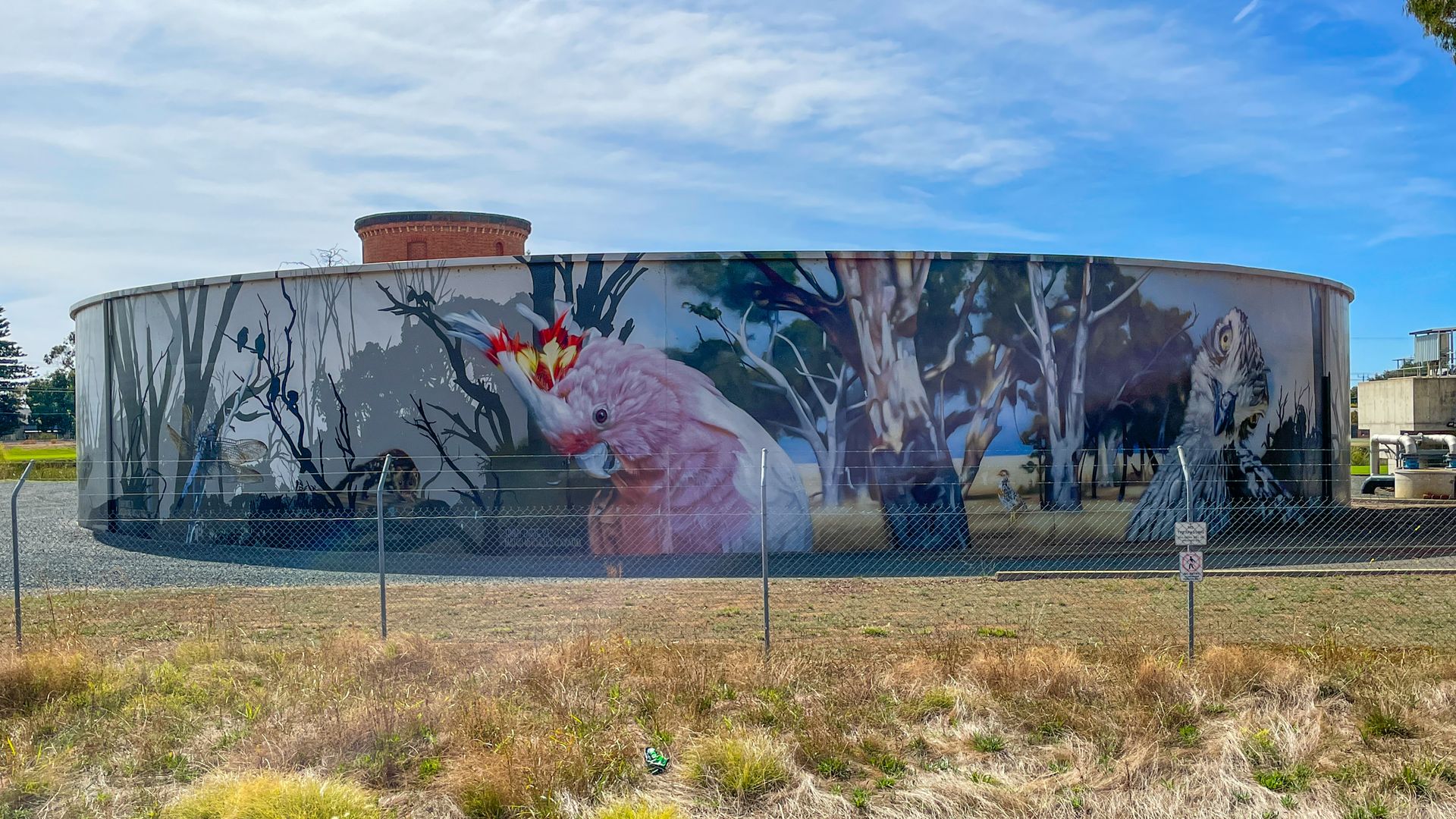 Kyabram Water Tank Art