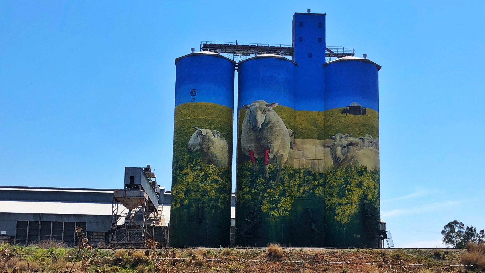 Merriwa Silo Art