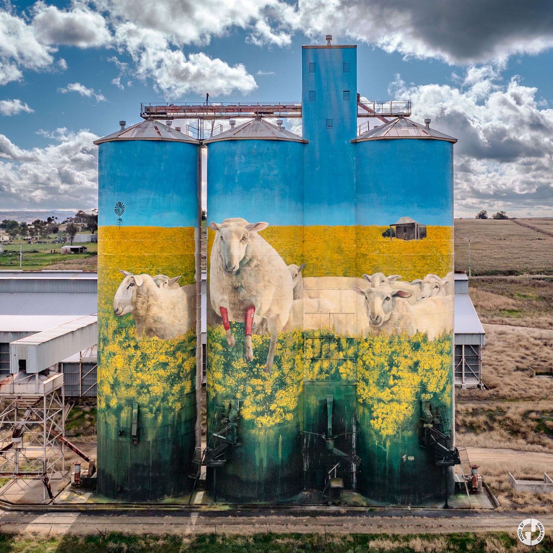 Australian Silo Art Trail Gallery of Photos