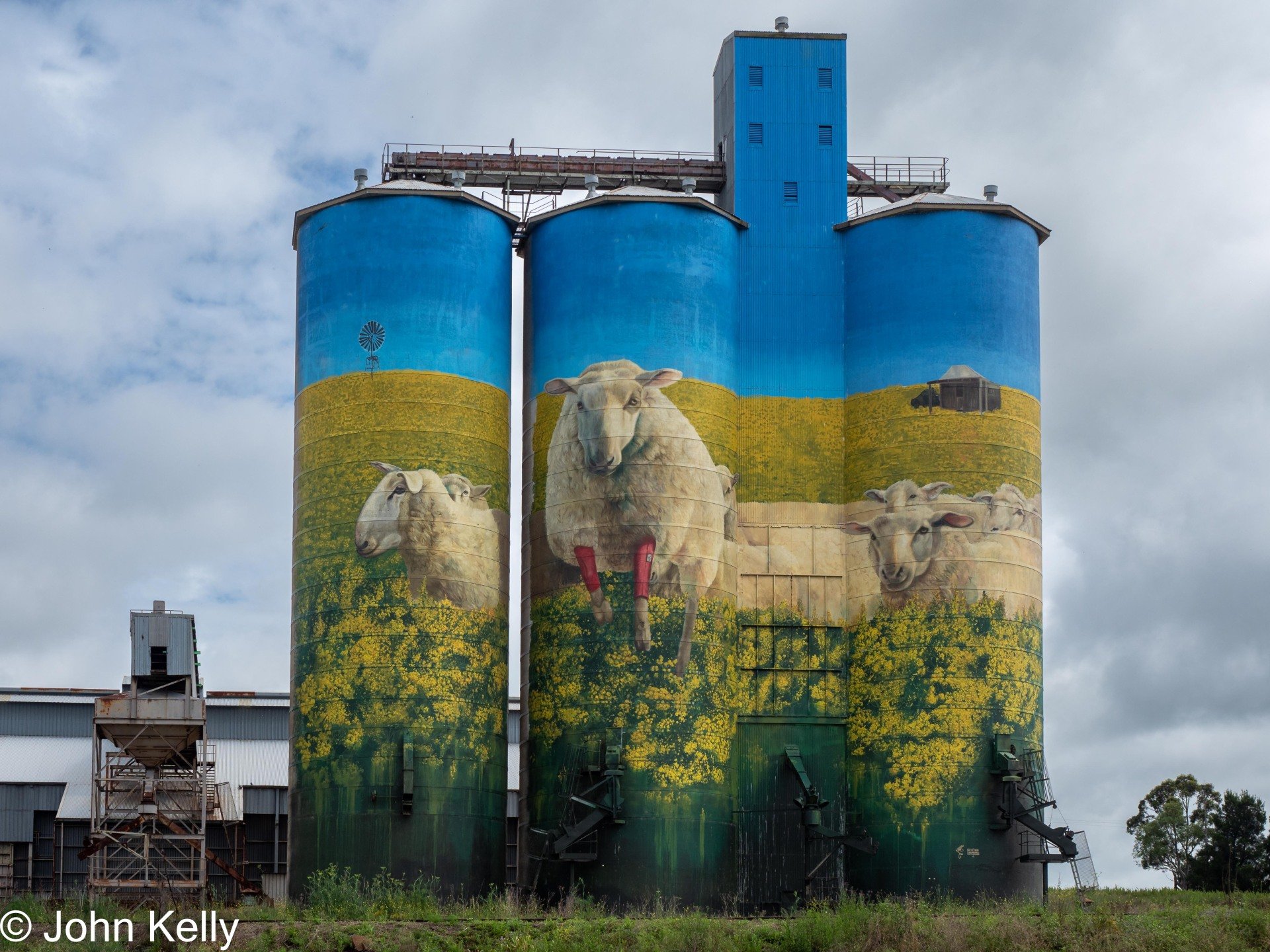 Australian Silo Art Trail Gallery of Photos