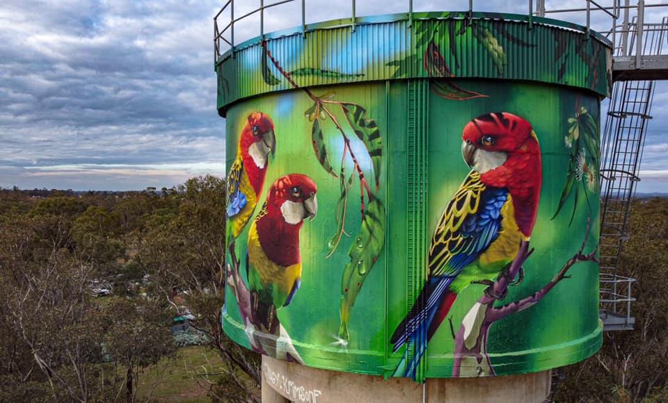 Australian Water Tower Art