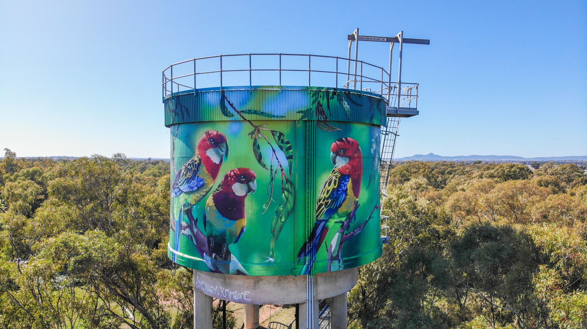 Australian Water Tower Art