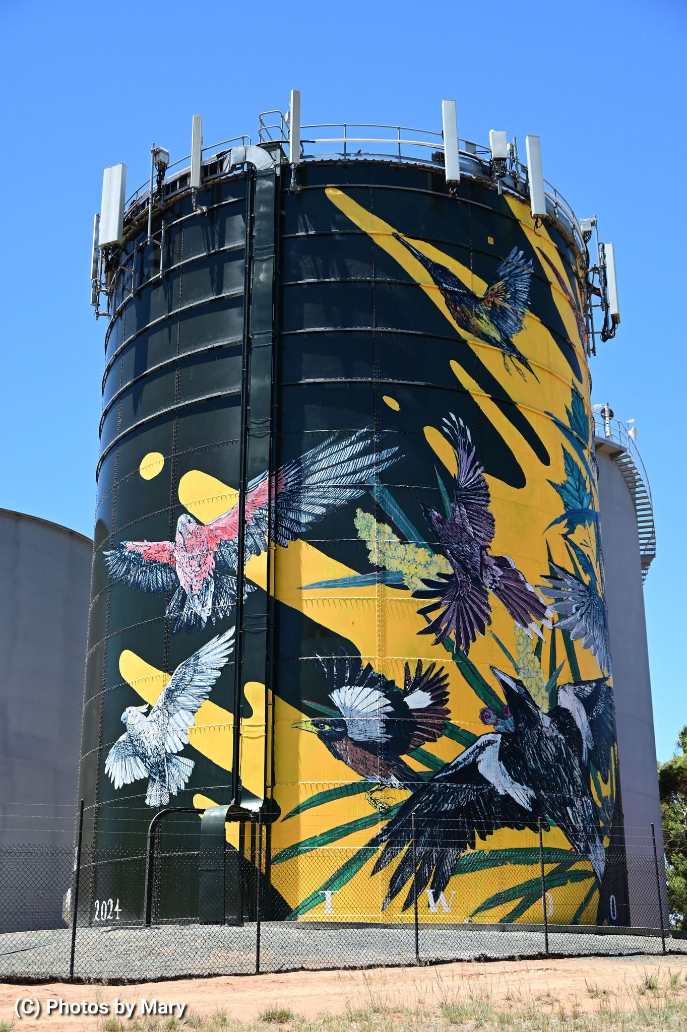 Moama Water Tower Art, australian Silo Art Trail