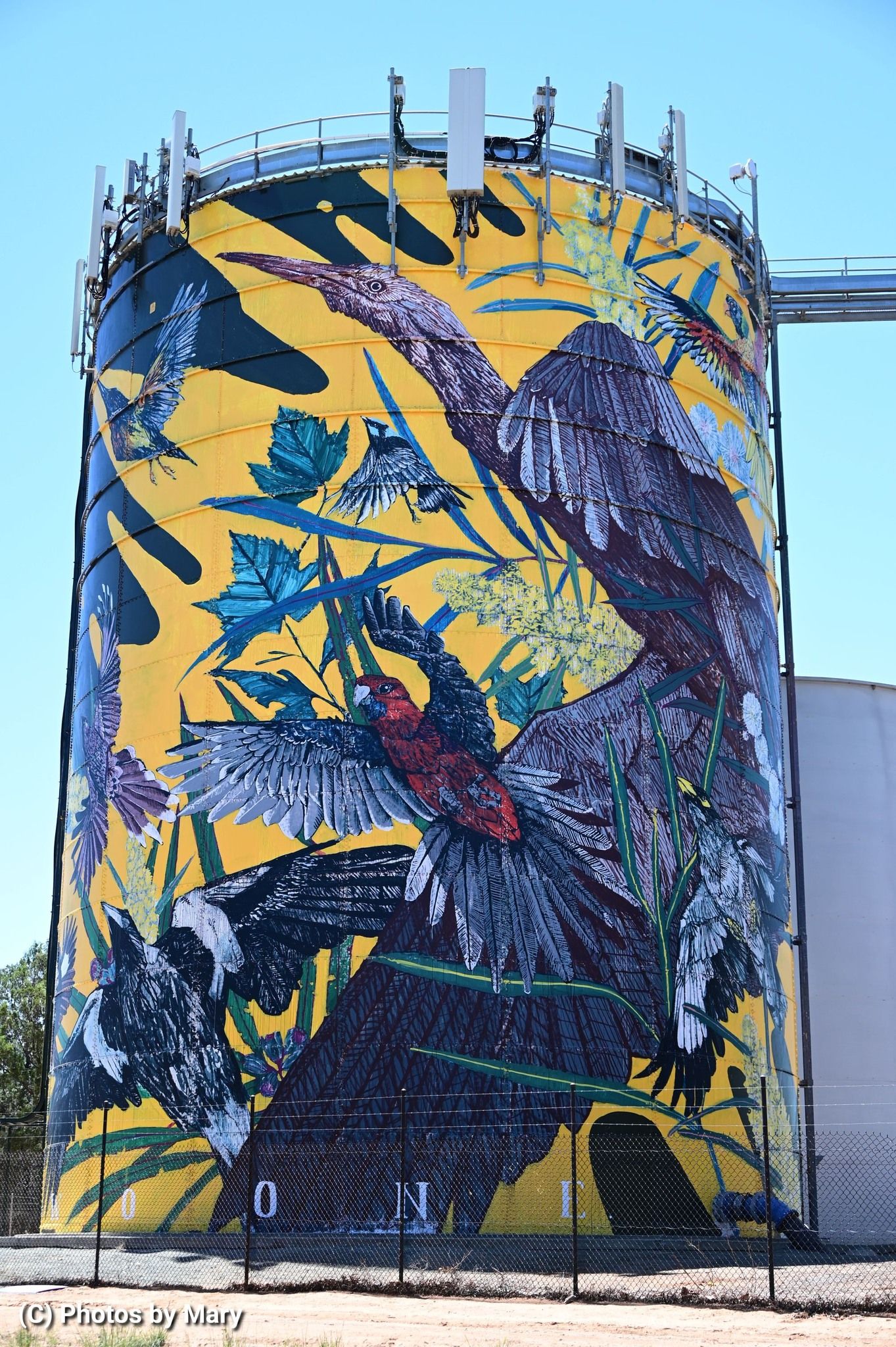 Moama Water Tower Art, australian Silo Art Trail