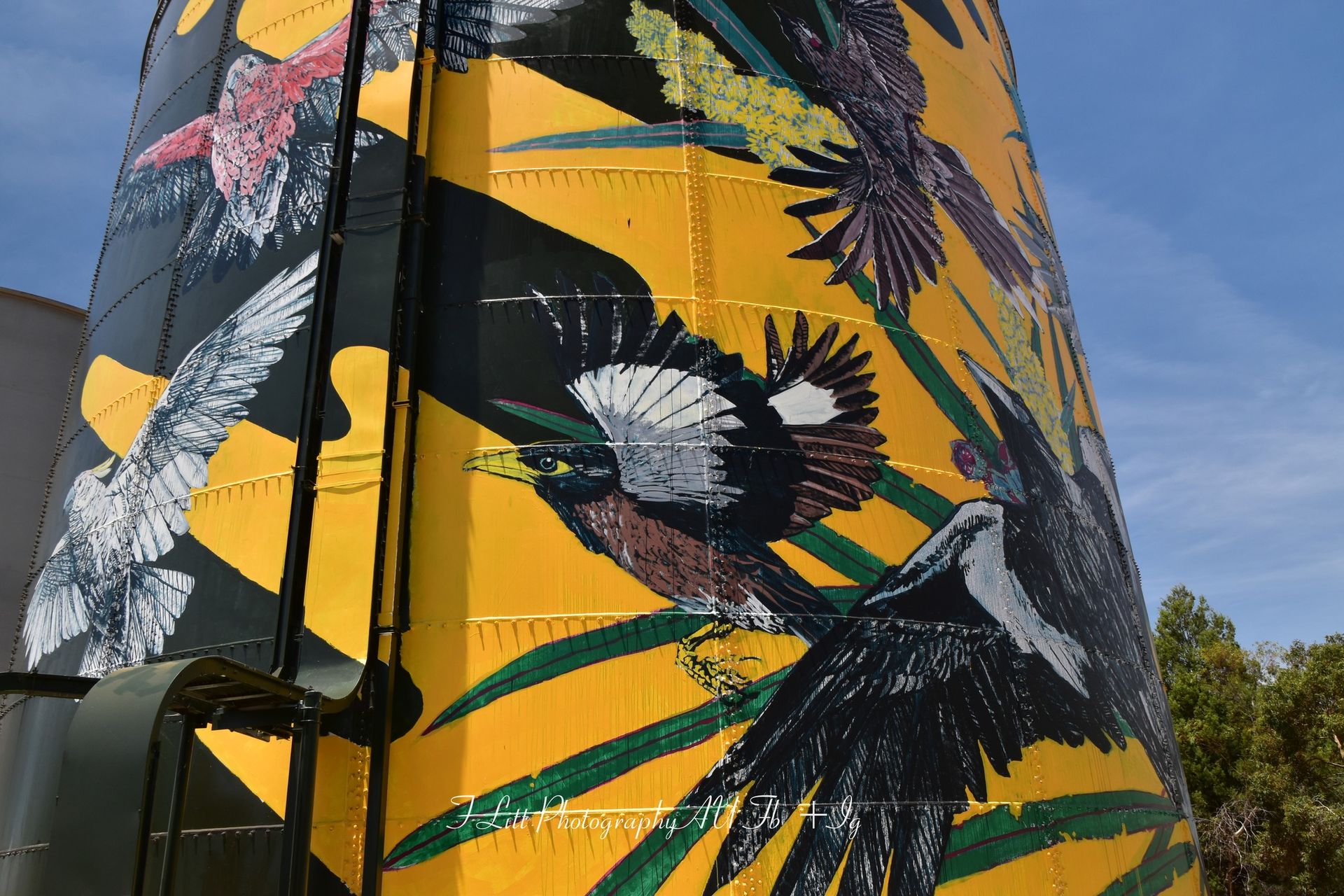 Moama Water Tower Art, australian Silo Art Trail
