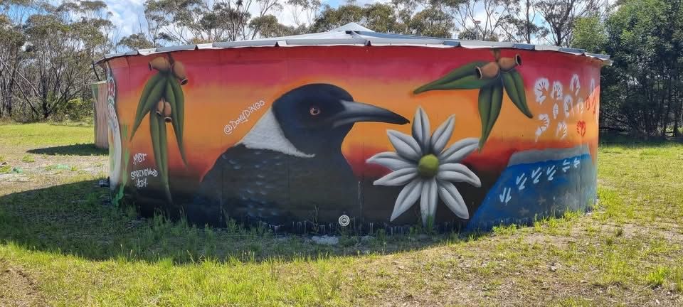Mount Banks Water Tower Art