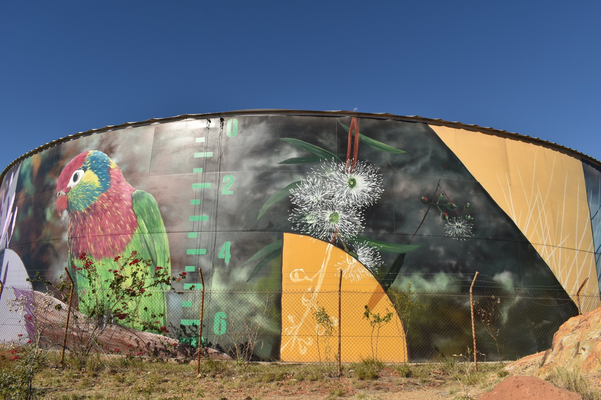 Mount Isa Water Tank Art
