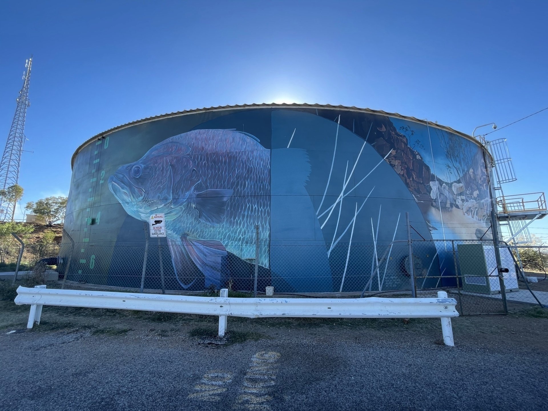 Mount Isa Water Tank Art