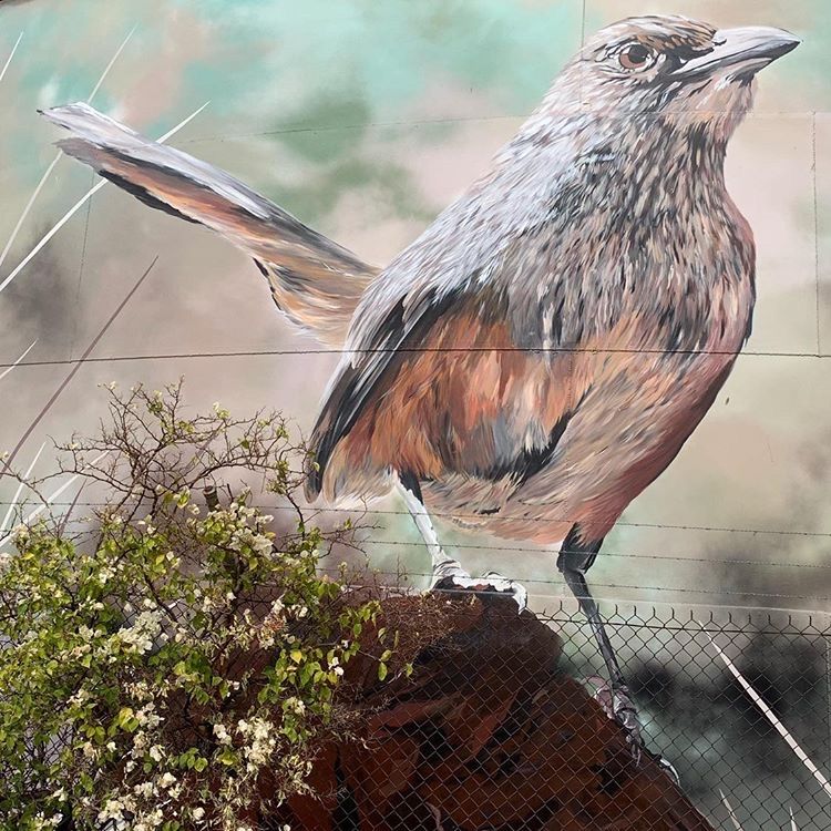 Mount Isa Water Tank Art