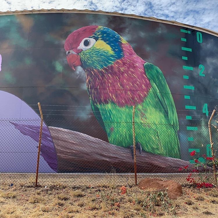 Mount Isa Water Tank Art