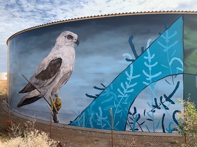 Mount Isa Water Tank Art