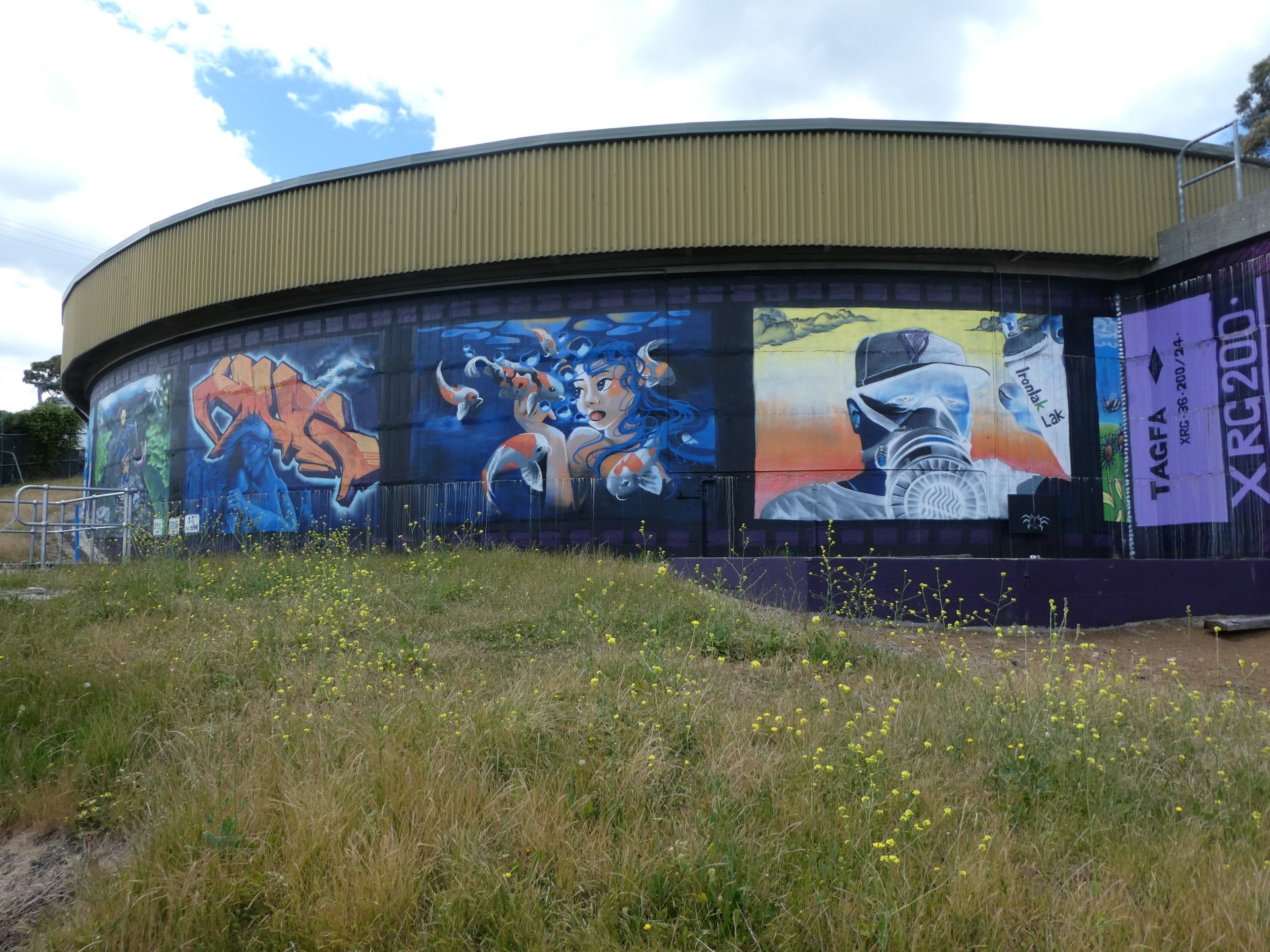 Mount Stuart Water Tank Art