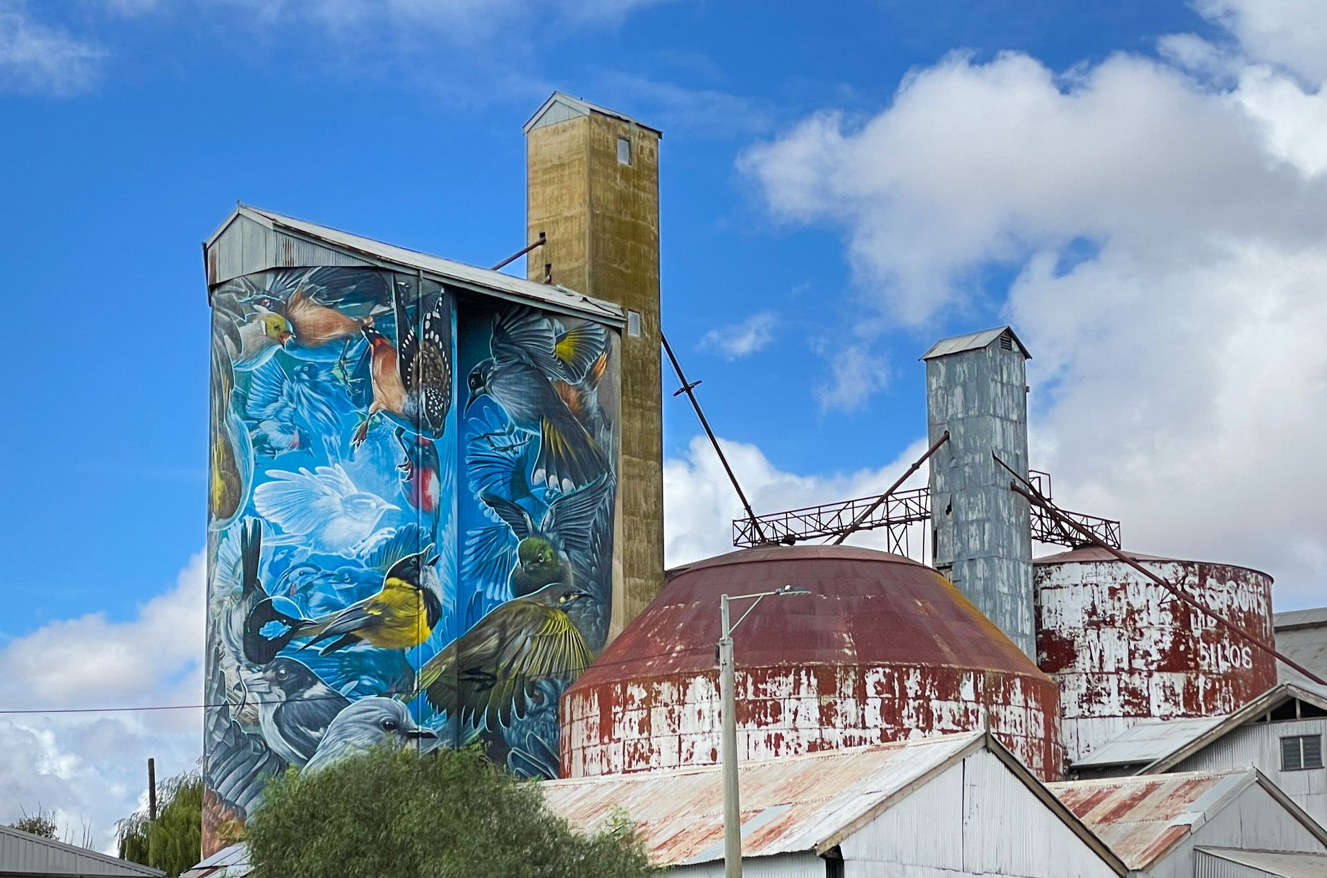 Mutoa Silo Art