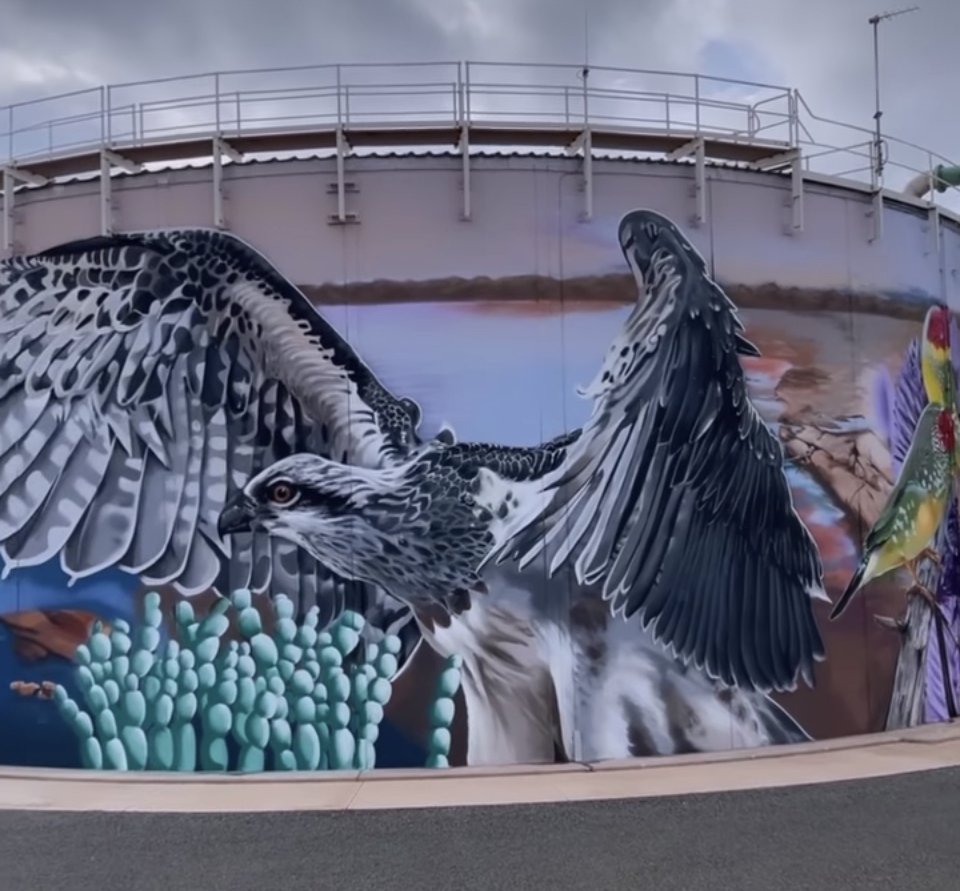 Onslow Water Tank Art