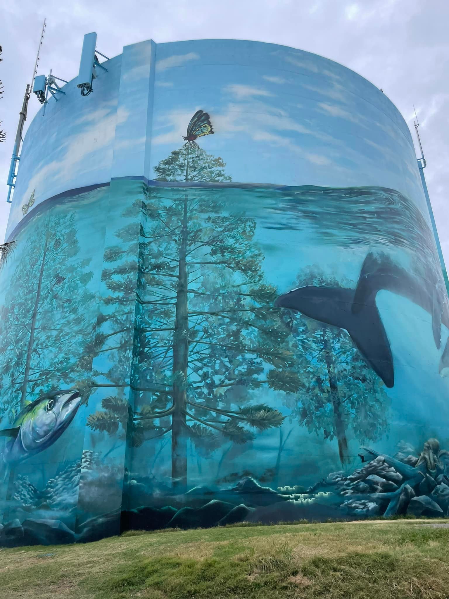 Point Cartwright Water Tank Art