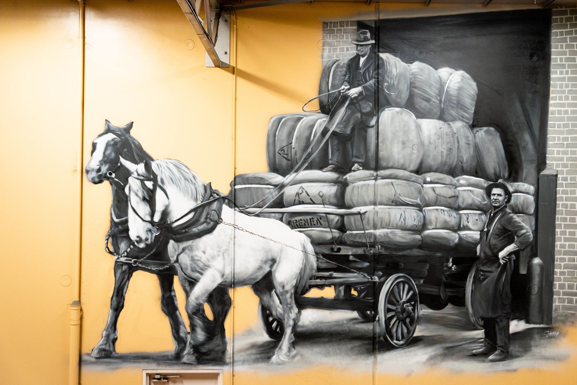 Jacob Butler - Shakey