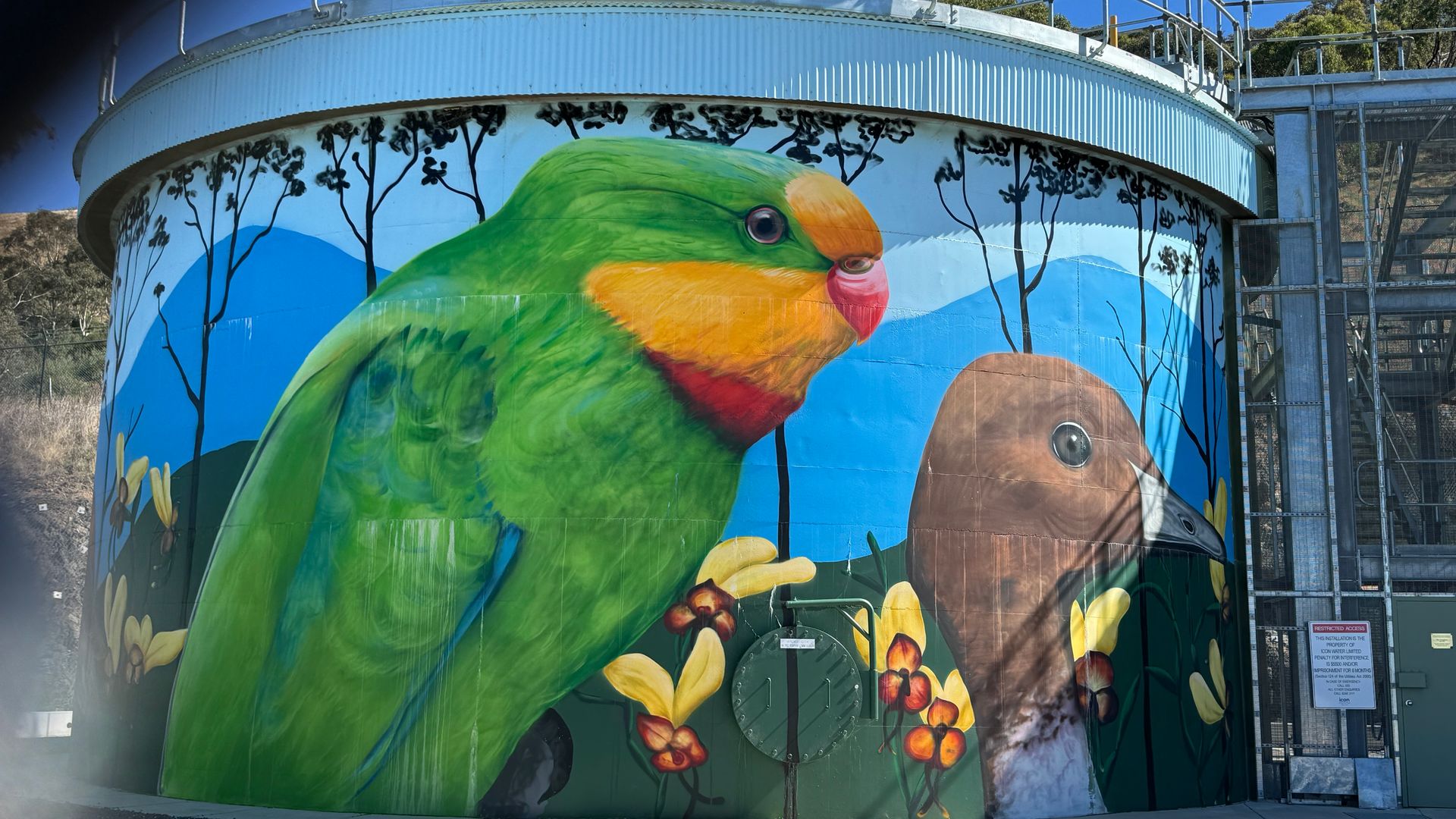 One Tree Hill Taylor Water Tank Art