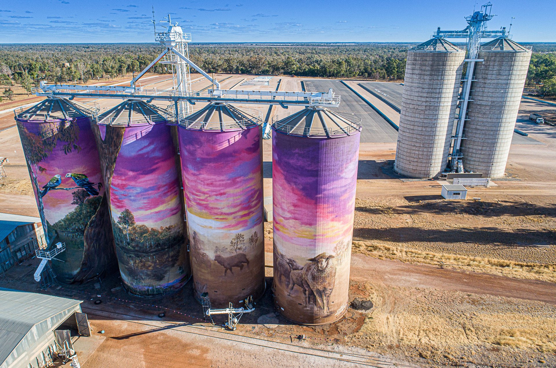 Australian Silo Art Trail Gallery of Photos