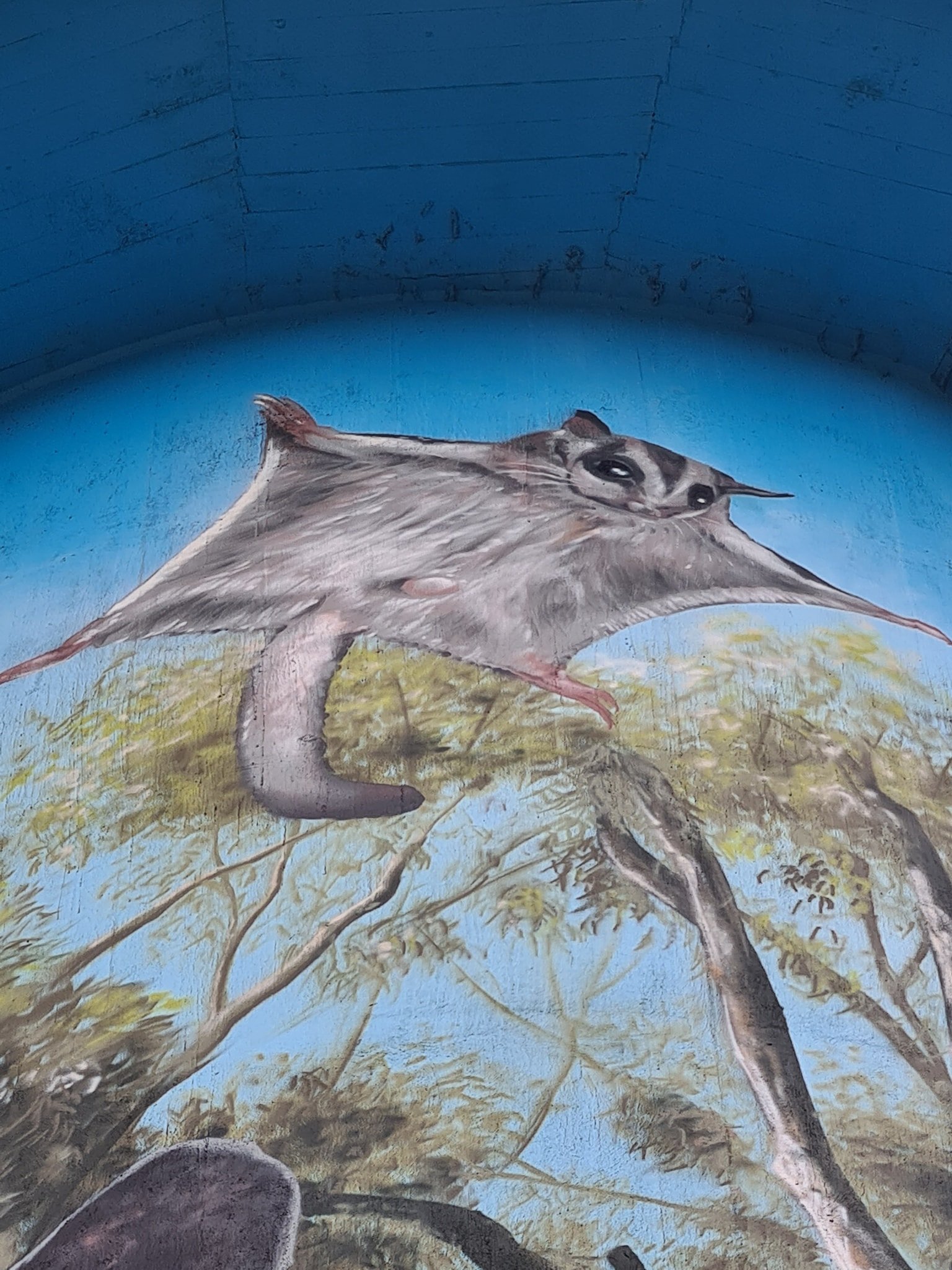 Walla Walla Water Tank Art