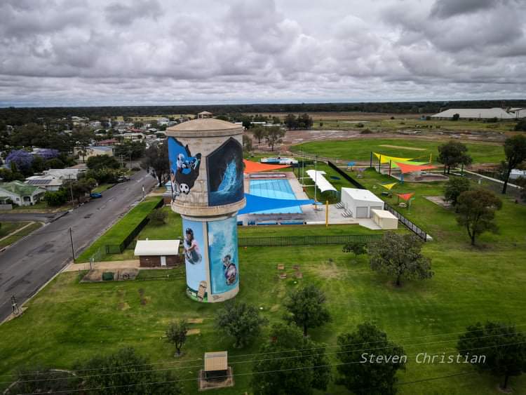 Warren Water Tower Art