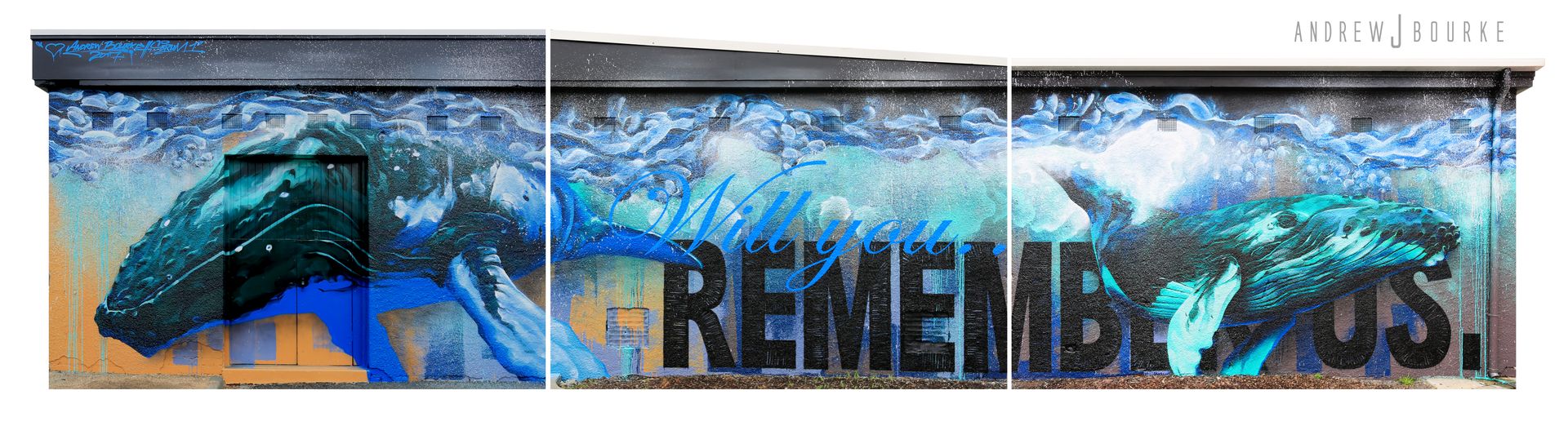 Andrew J Bourke - Artist