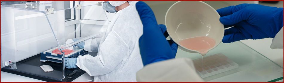 Compounded Medication & Pharmaceuticals | Dee Why, NSW