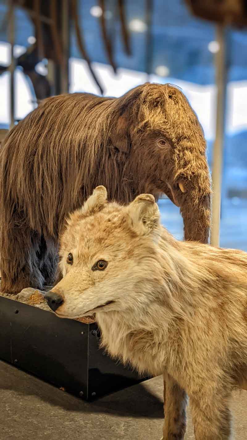 L’Espace Muséal d’Andenne (EMA) : Audioguide par Guide-ID