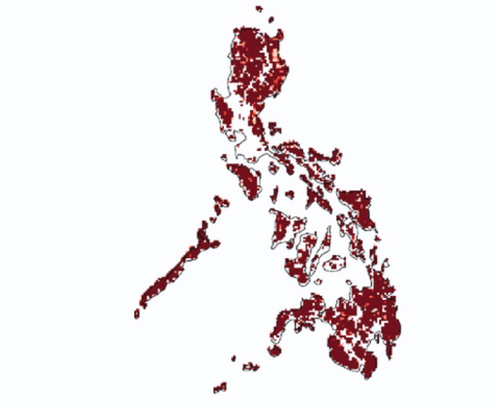 Digital Divide Solutions | Global Telecom | Philippines