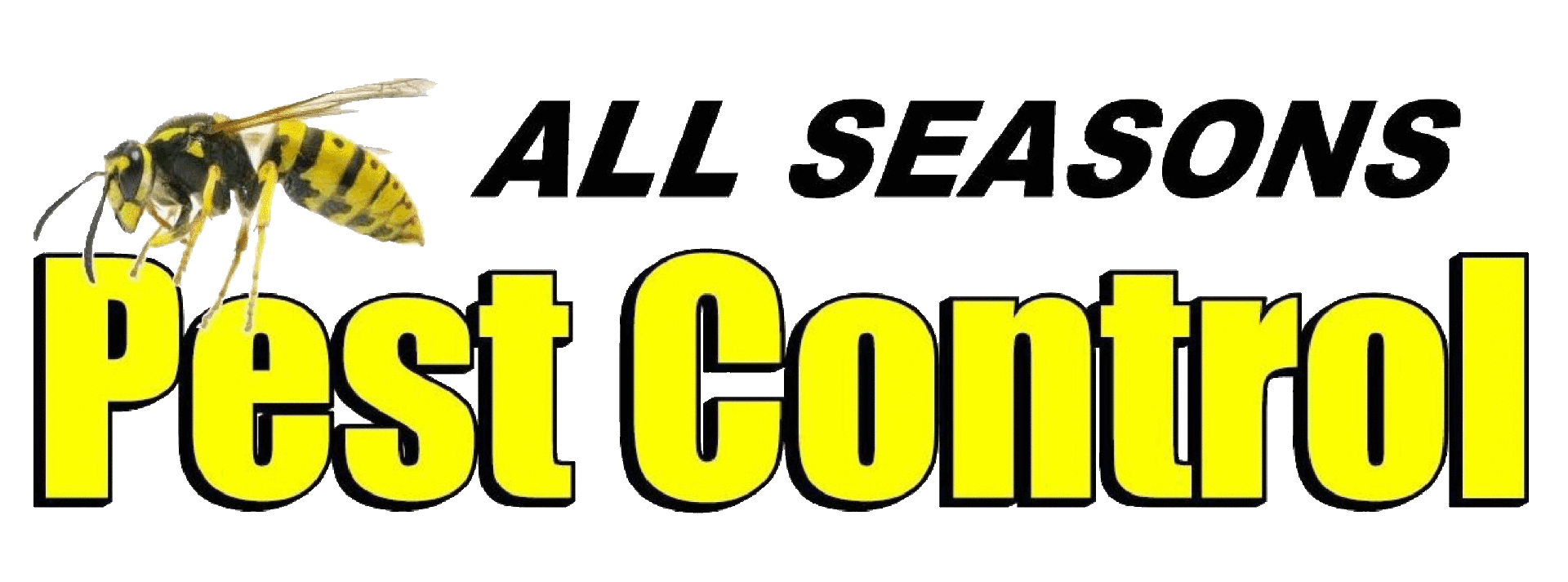 Pest Control Services in the Taylor and Dearborn Heights, MI, Area